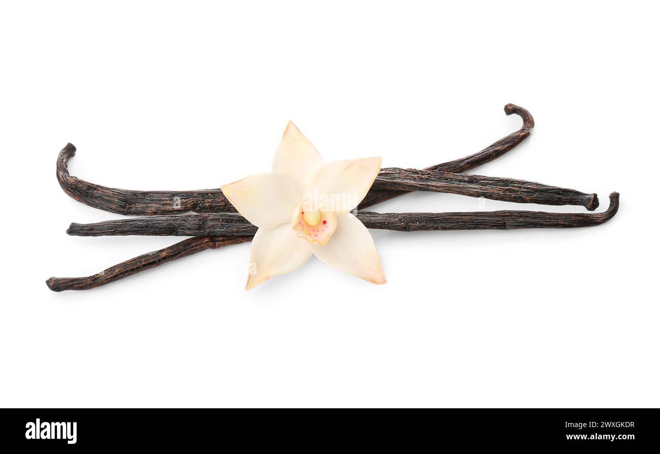 Beautiful vanilla flower with sticks isolated on white background Stock ...