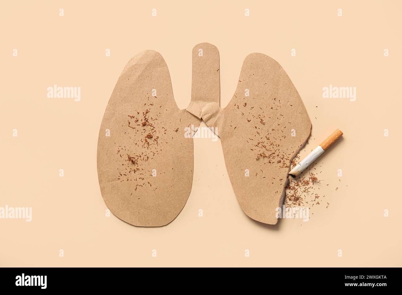 Burnt paper lungs and cigarette butts on beige background. No tobacco ...