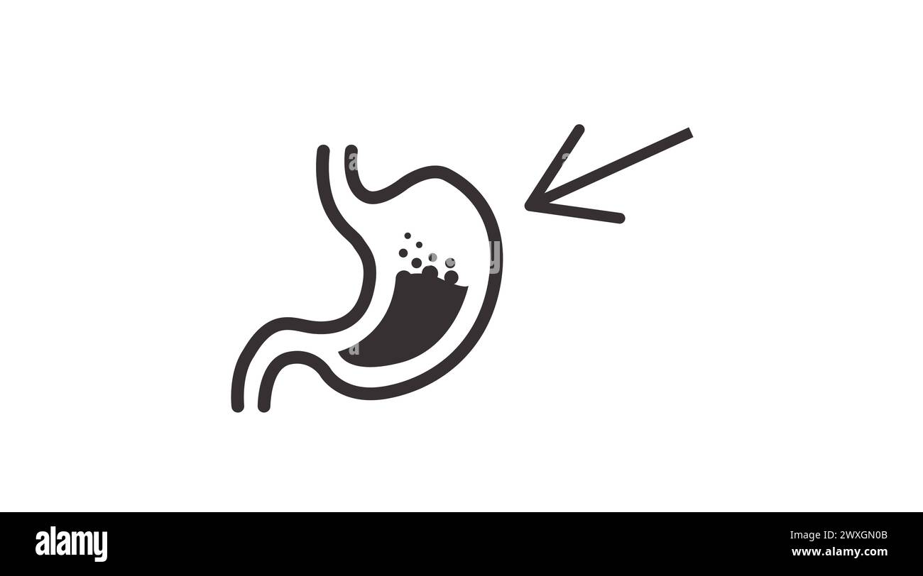 Stomach Icon. Vector isolated illustration of a stomach Stock Vector ...