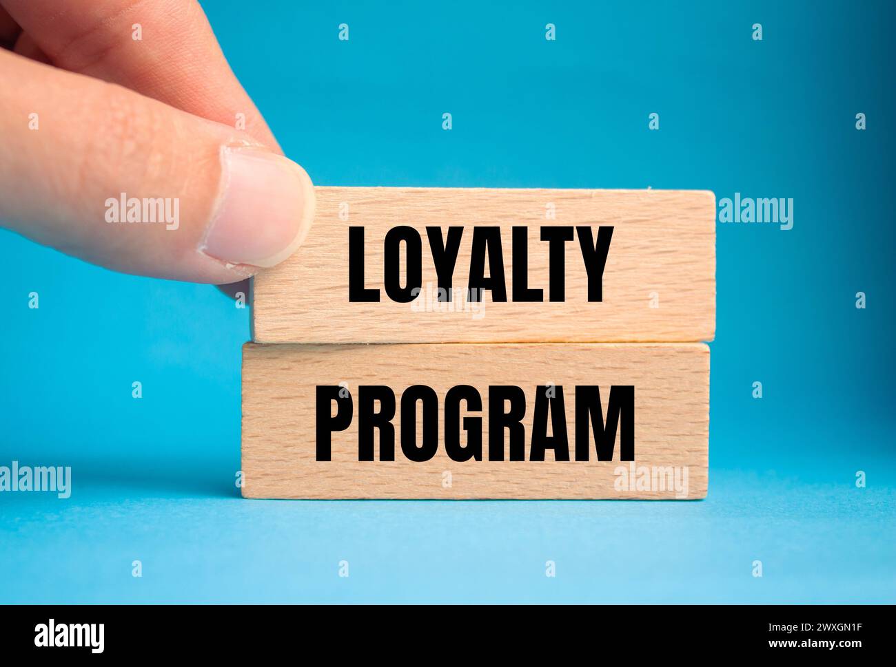 Loyalty program words written on wooden blocks with blue background ...