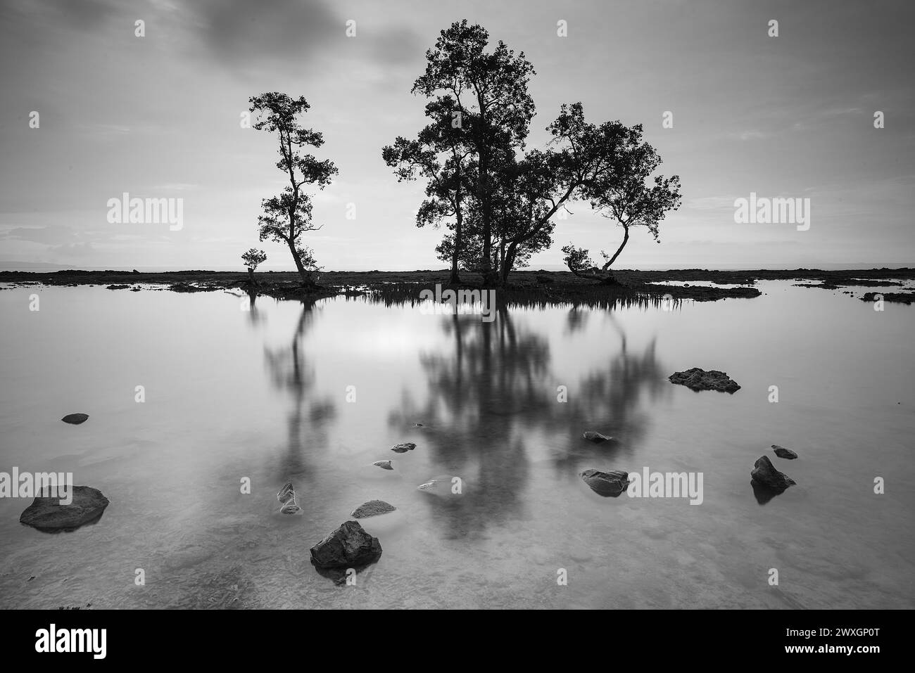A scenic view of sunset at Carita Anyer Banten in grayscale Stock Photo ...