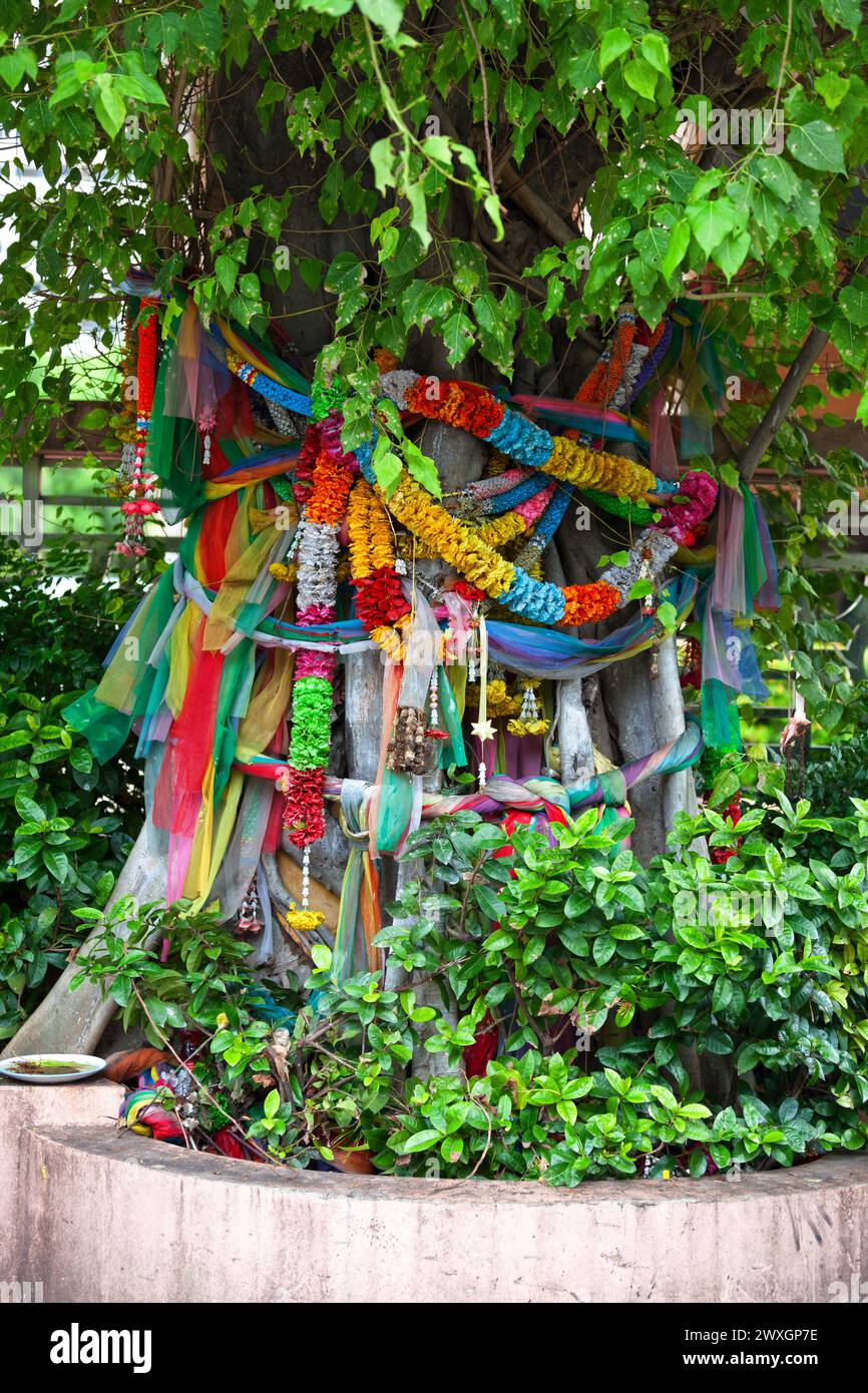 Buddhist wishing tree in Bangkok where people use to pray thr spirits ...