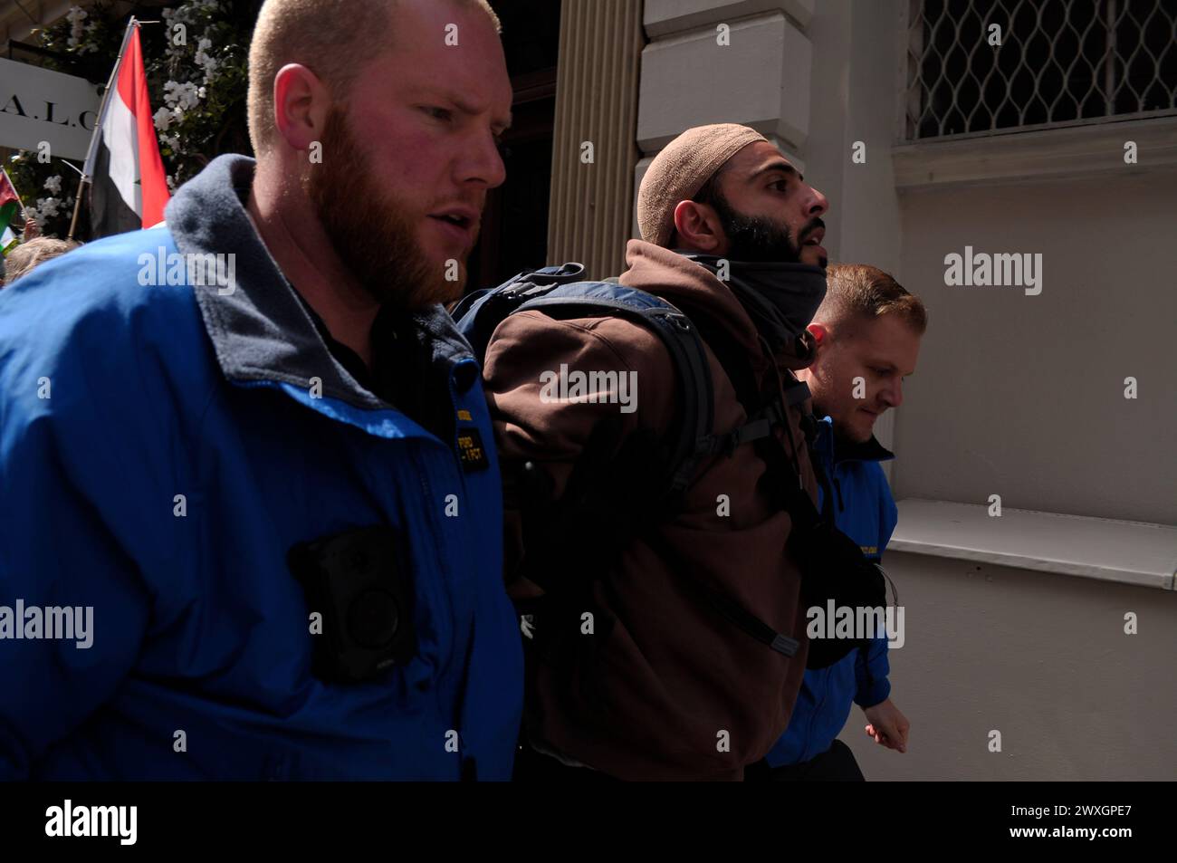 Members of the New York City Police Department arrest a pro-Palestine ...