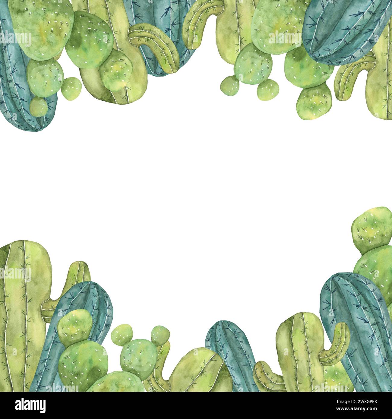 Square template frame with cacti for Cinco de Mayo. Hand drawn colorful ...