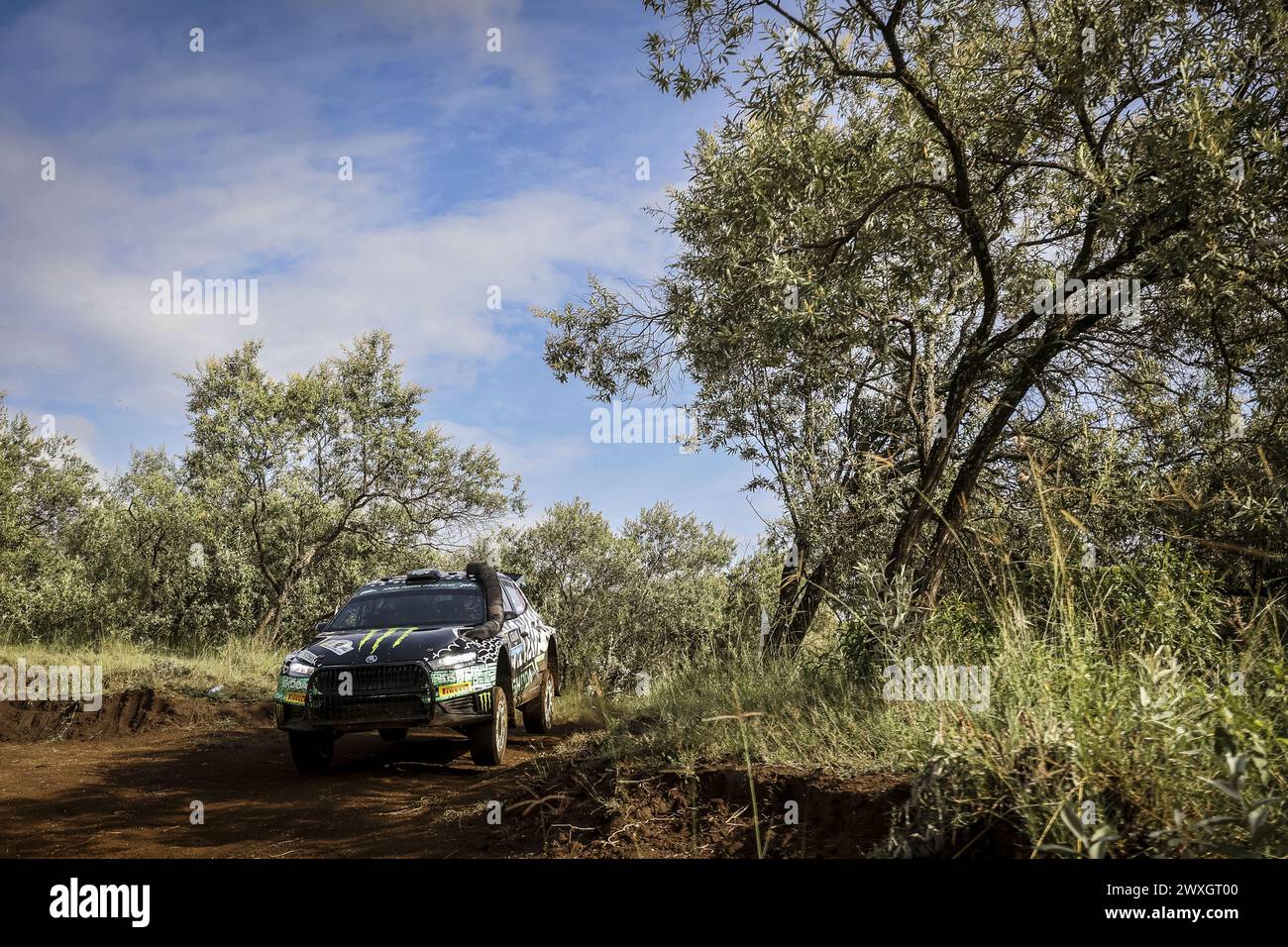 20 SOLBERG Oliver, EDMONDSON Elliott, Skoda Fabia RS Rally2, actionduring the Safari Rally Kenya ...