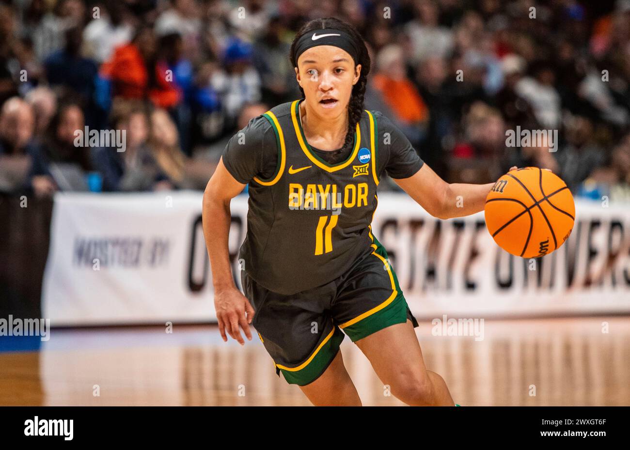 2024 0694 jpg hi-res stock photography and images - Alamy