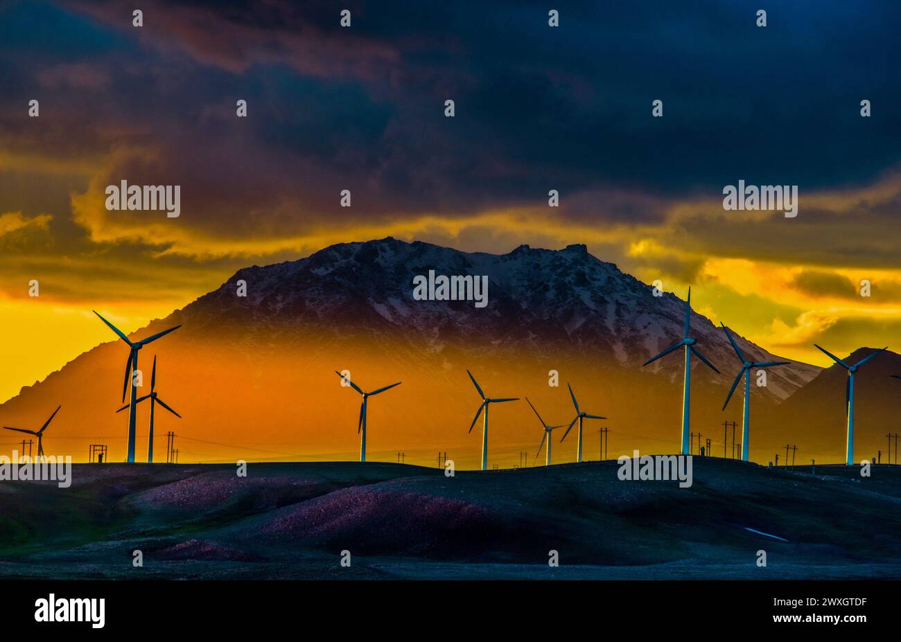 Wind power facilities are seen in Xinjiang, China, May 1, 2017 ...