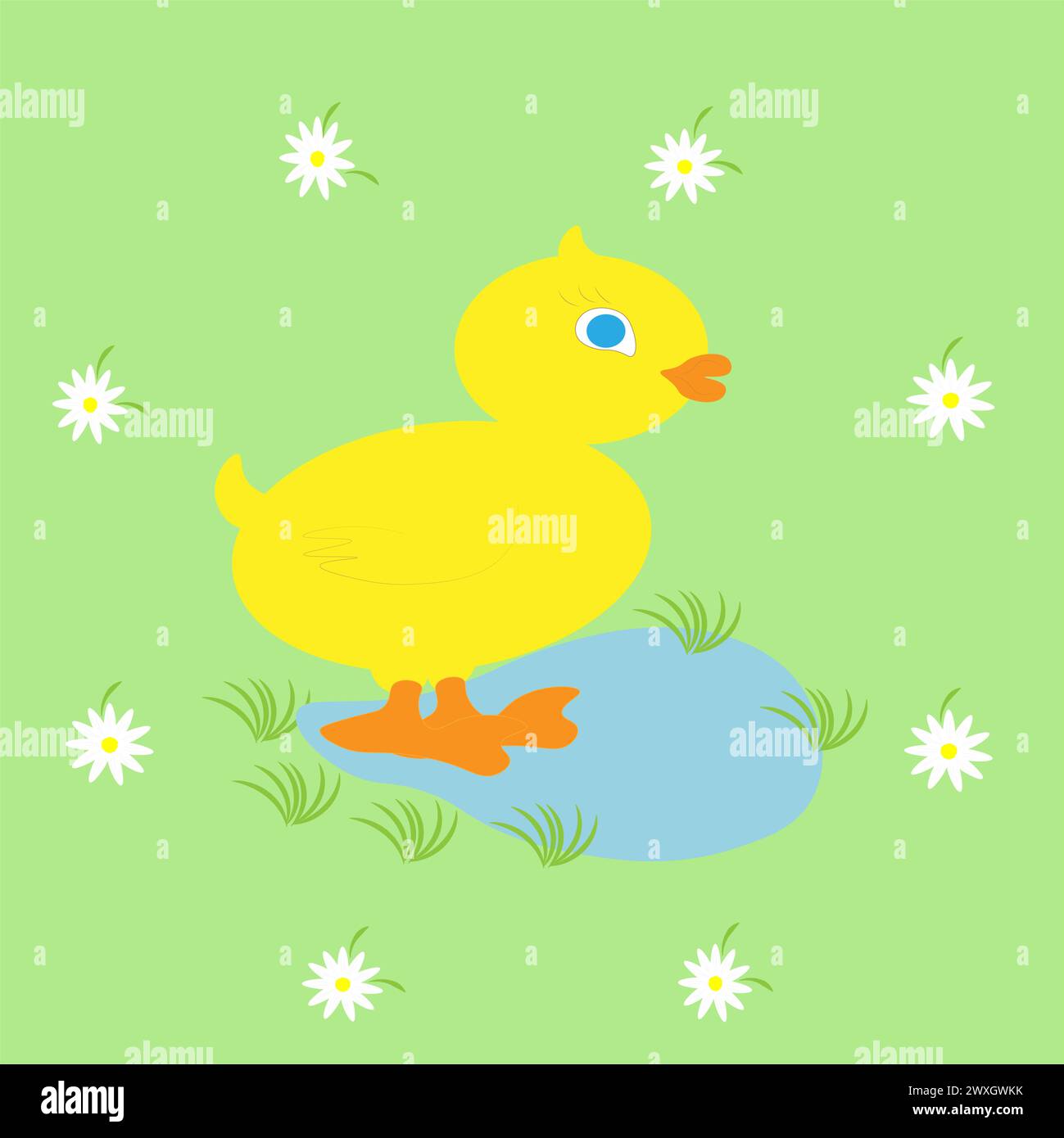 Cute cartoon duckling standing in a puddle on a green background Stock ...
