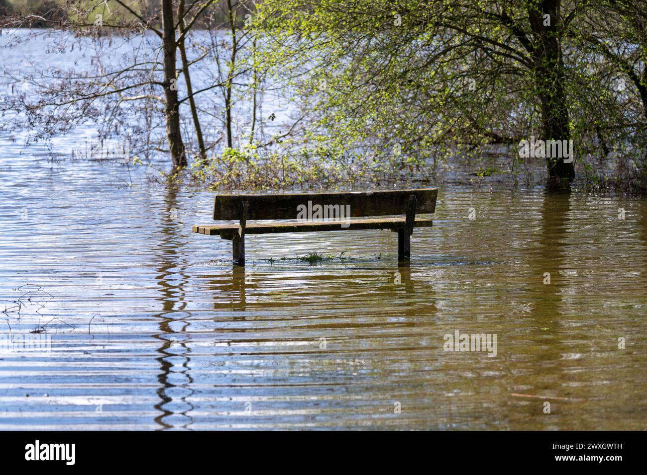 Empty bench on the flooded edge of a lake surrounded by water and trees ...