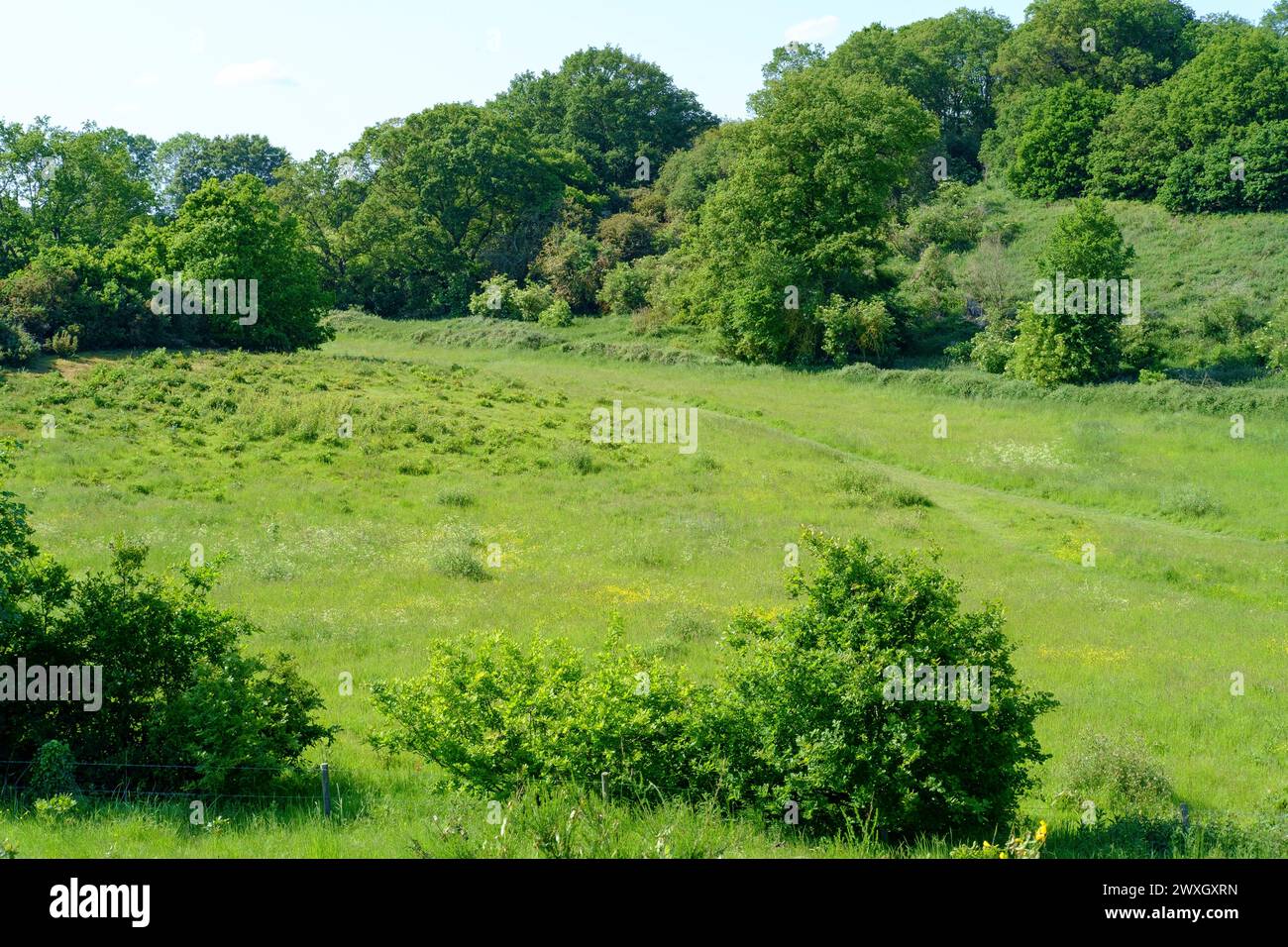 Suffolk spring wildlife hi-res stock photography and images - Alamy