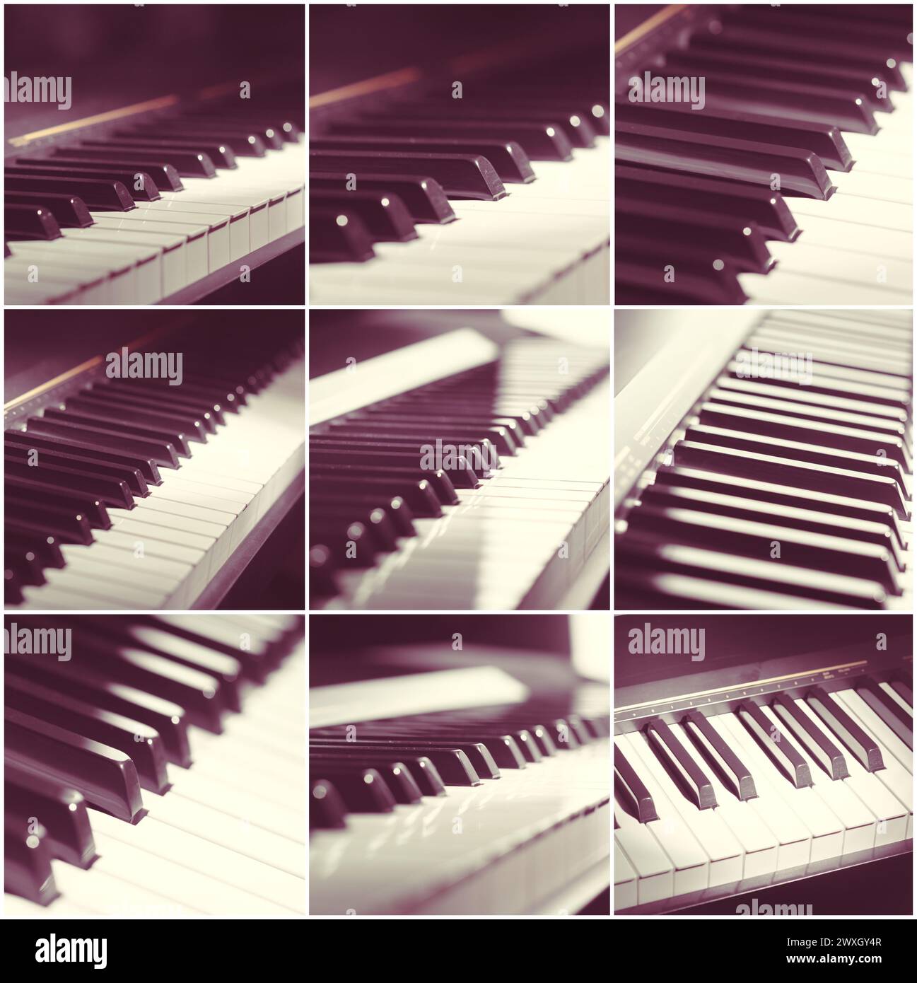 Female keyboard player Cut Out Stock Images & Pictures - Alamy