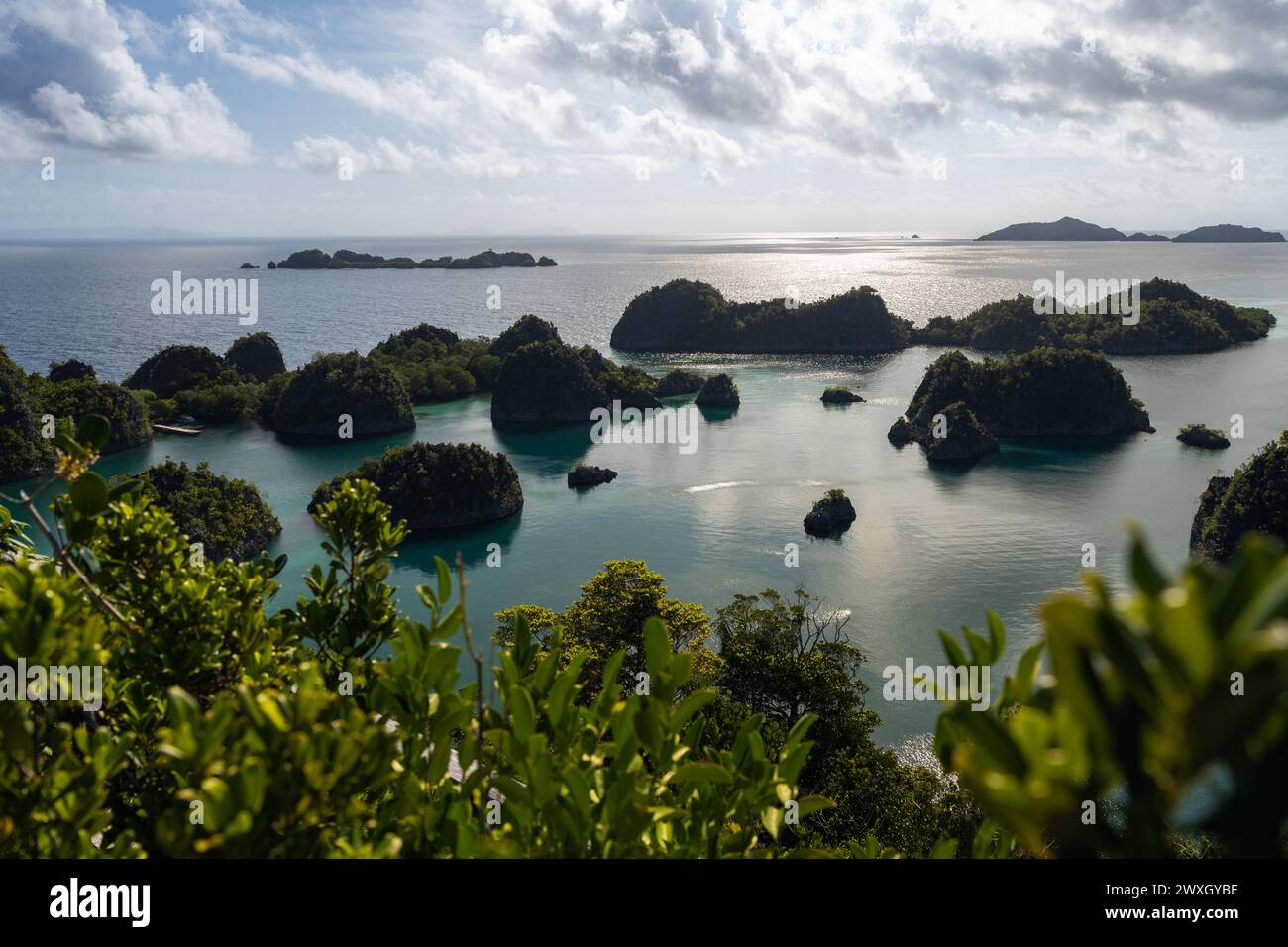 Small islets covered with dense vegetation in the Raja Ampat ...