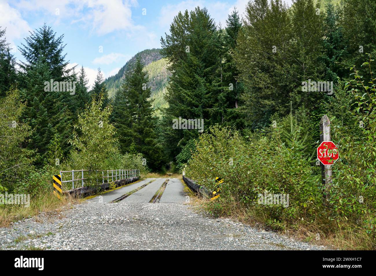 A remote logging road bridge with abandoned old rail ties in the middle ...
