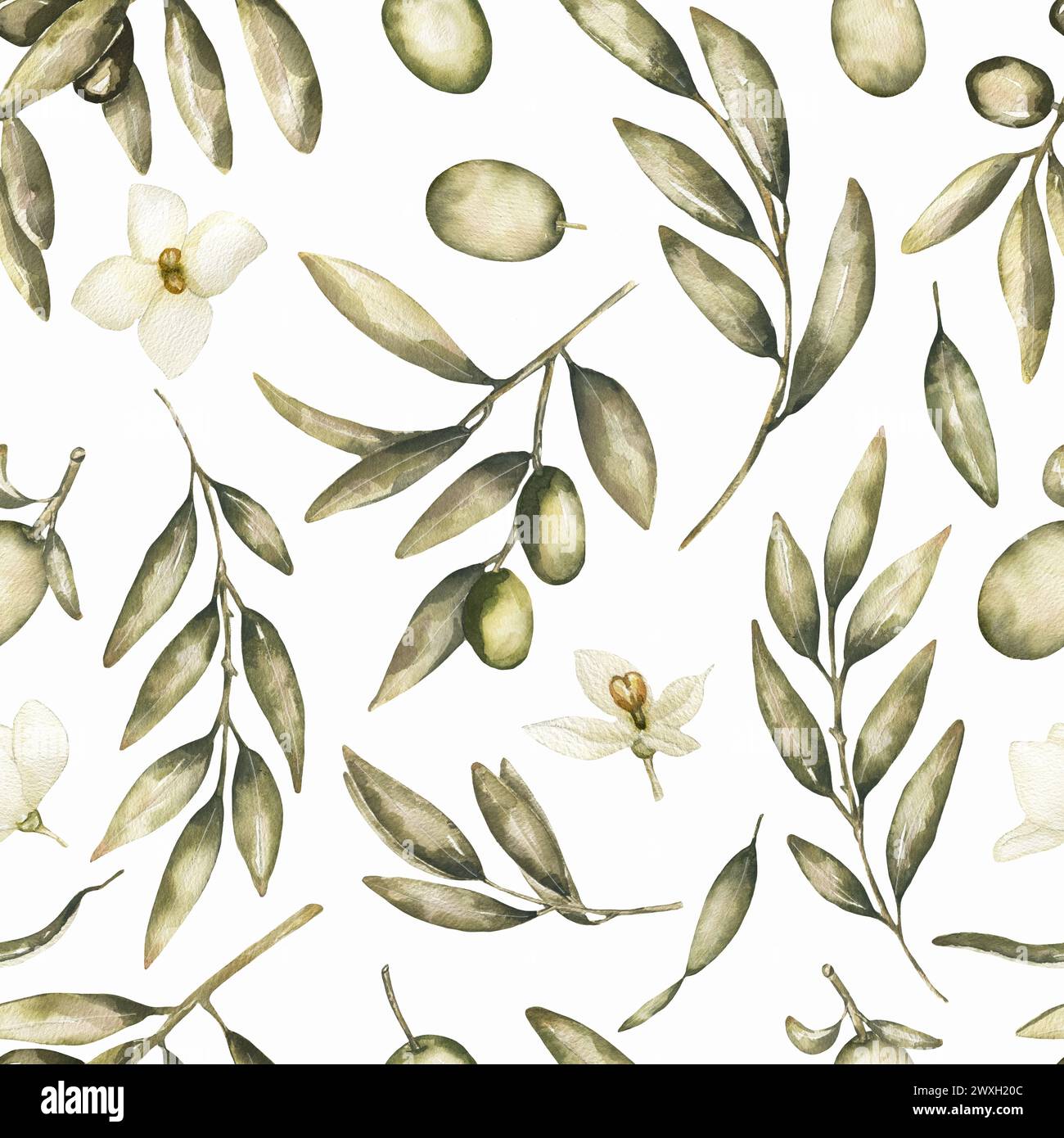 Watercolor olive branch seamless pattern. Hand drawn floral texture ...