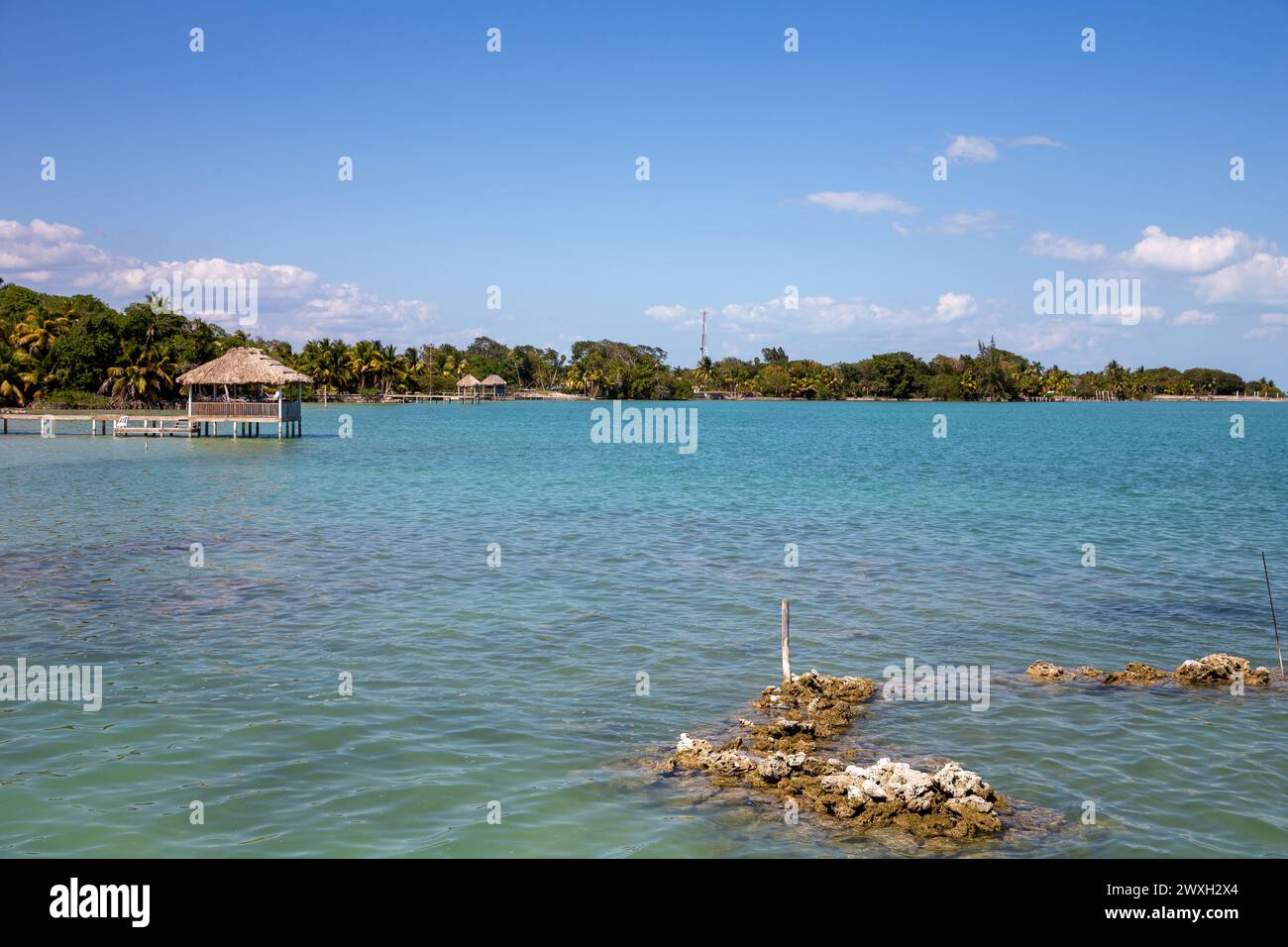Amber gris hi-res stock photography and images - Alamy