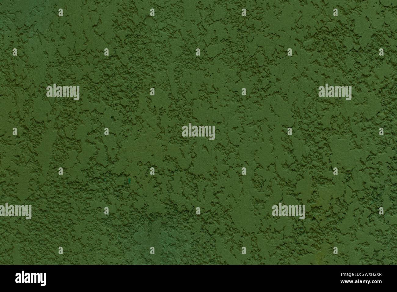 Green grass color verdant paint wall plaster abstract solid background ...