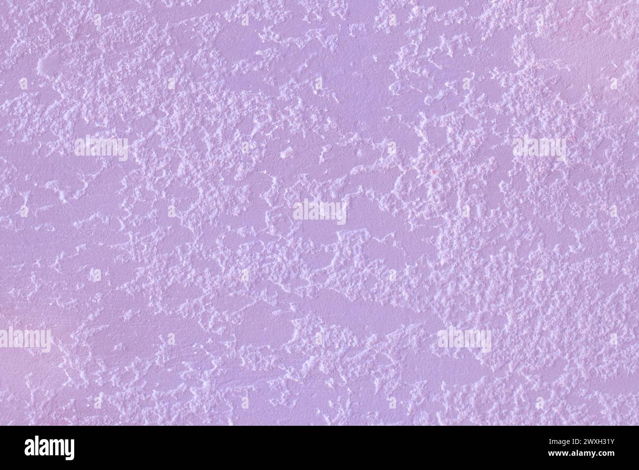 Light pink berry color paint on rough plaster wall solid stucco surface ...