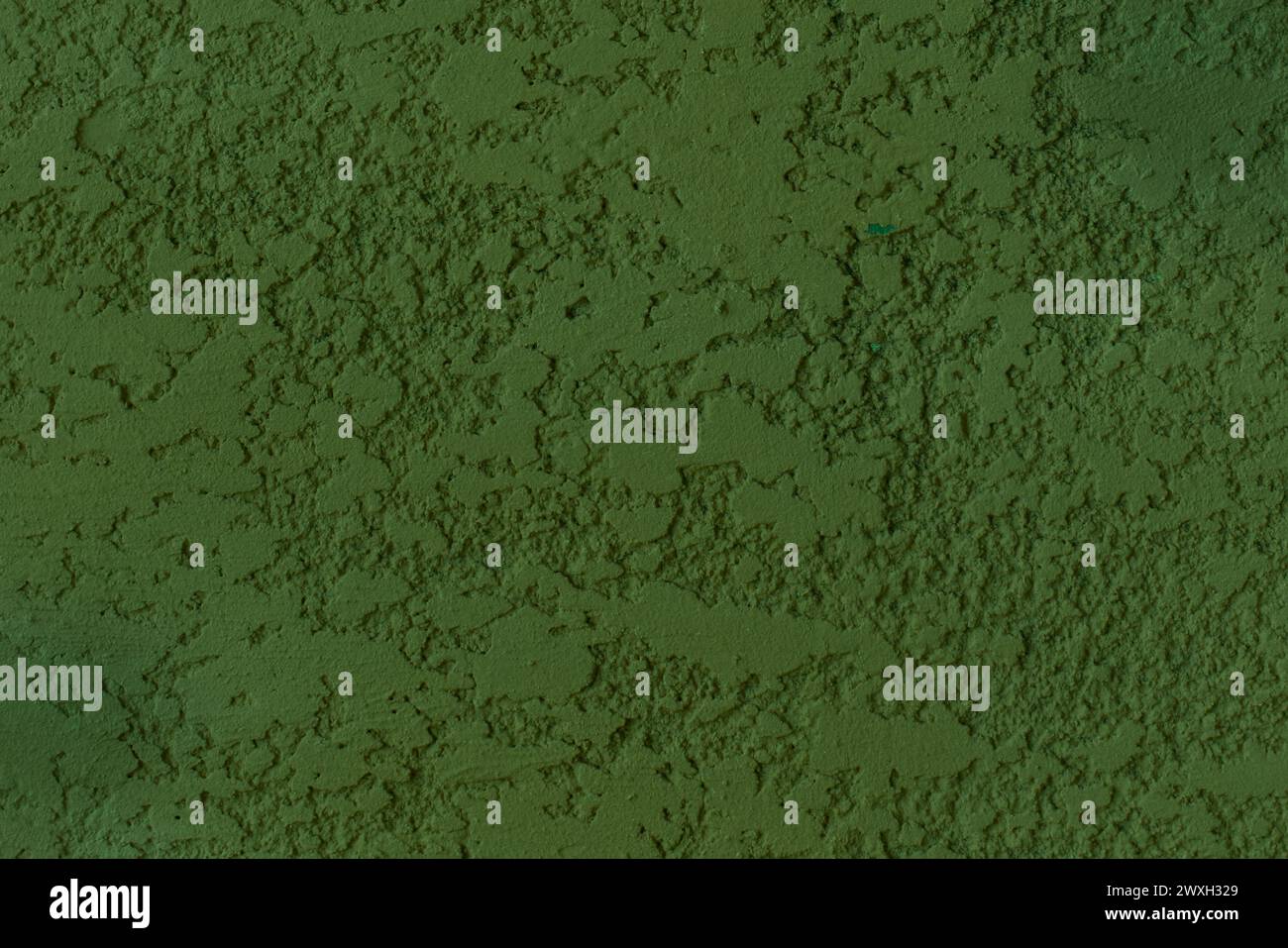 Green grass color paint wall plaster abstract solid background surface ...