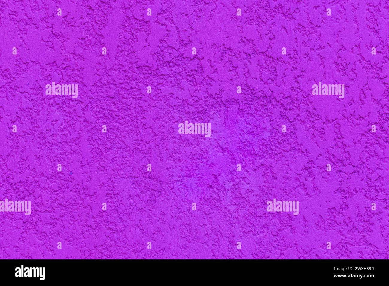 Purple lilac paint abstract surface pattern plastered rough solid wall ...