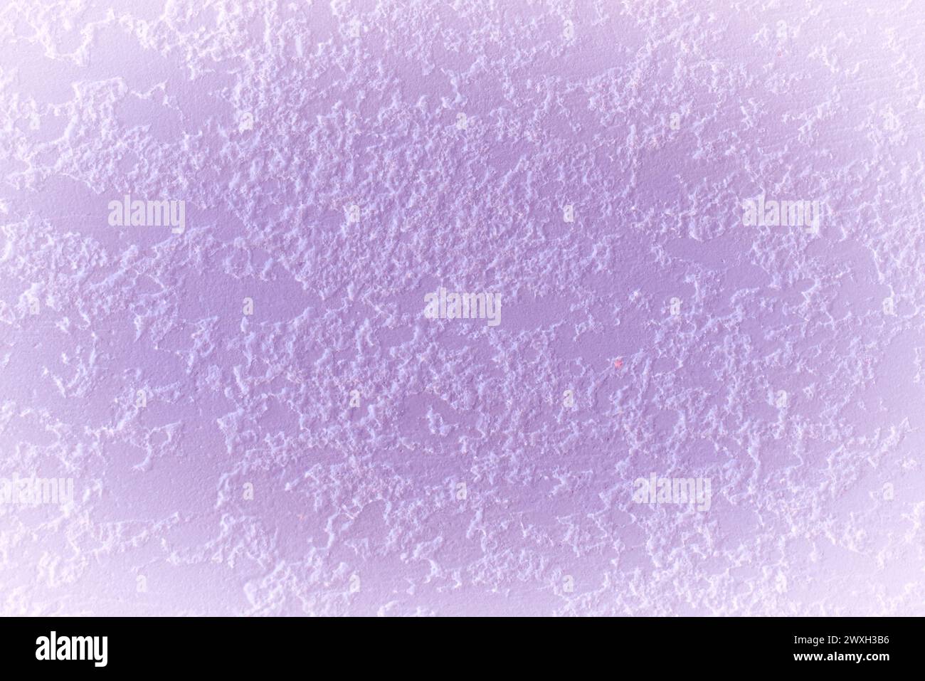 Light pink berry color paint on rough plaster wall solid stucco surface ...