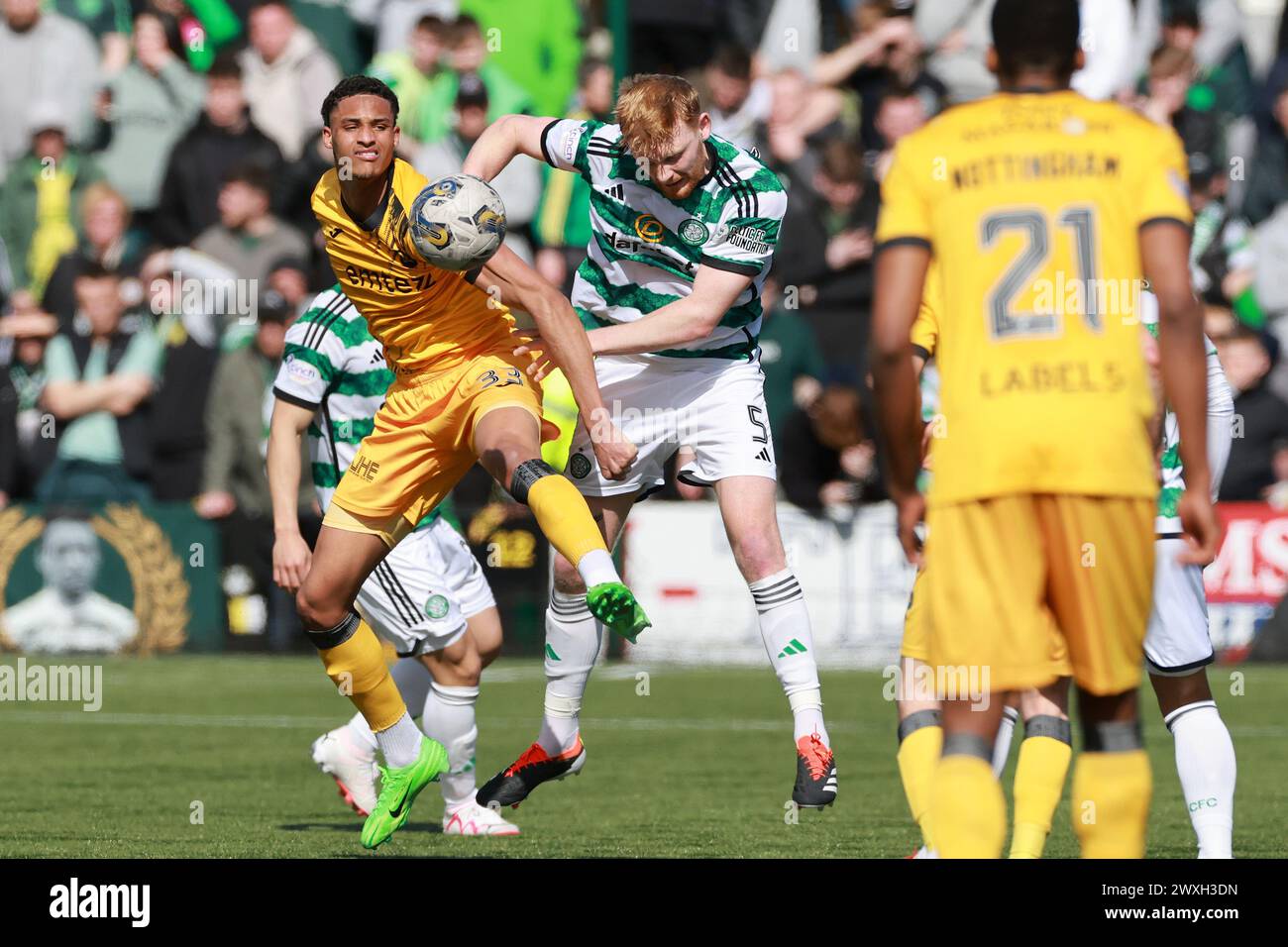 Tete yengi hi-res stock photography and images - Alamy