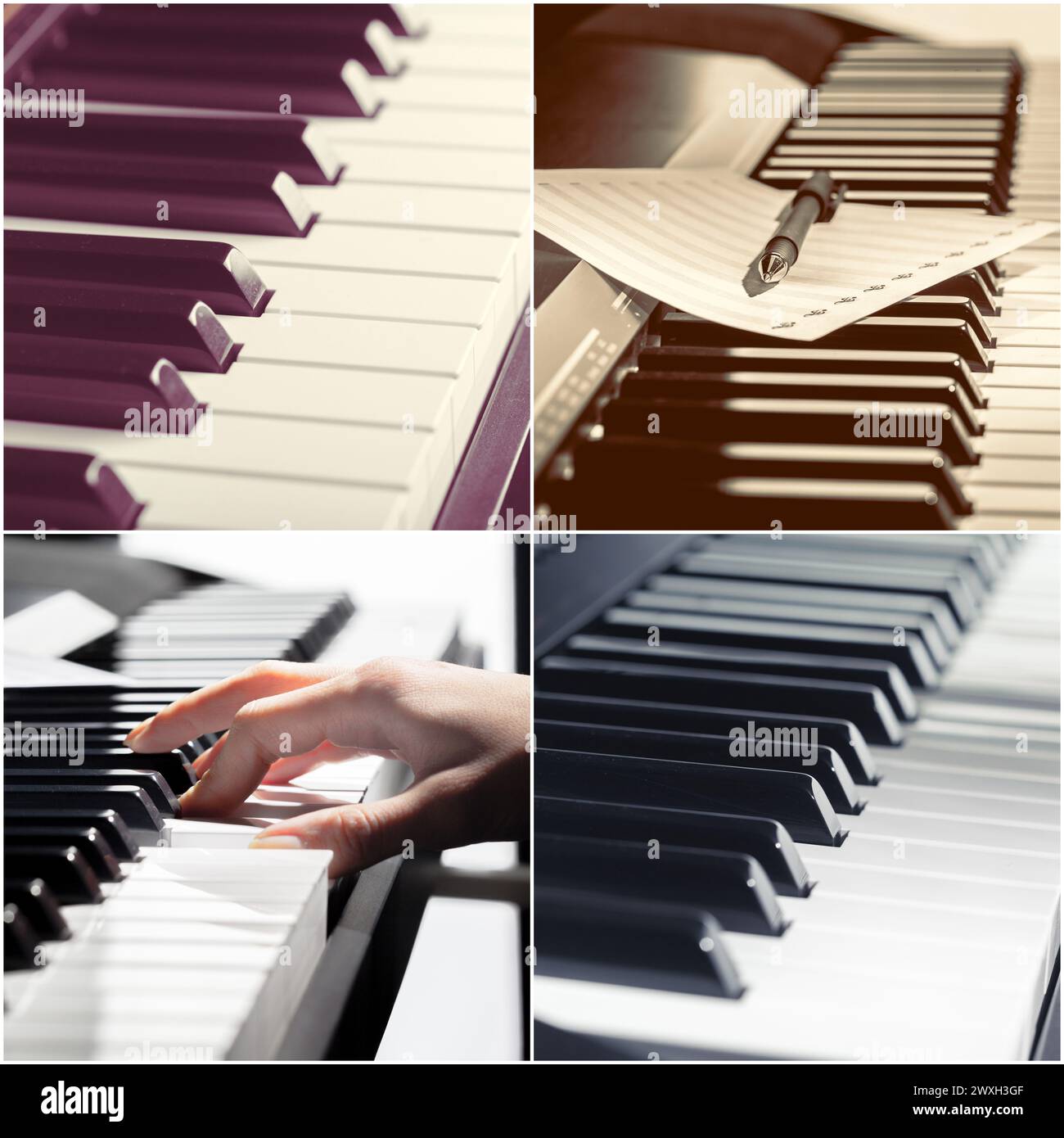 Female keyboard player Cut Out Stock Images & Pictures - Alamy