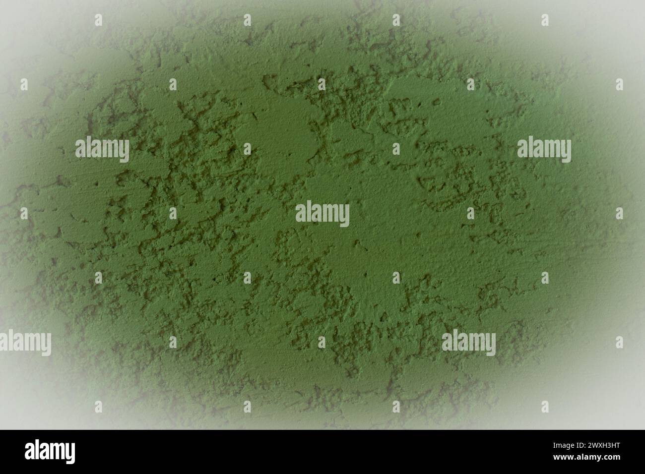 White vignette green grass color verdant plaster rough wall background ...