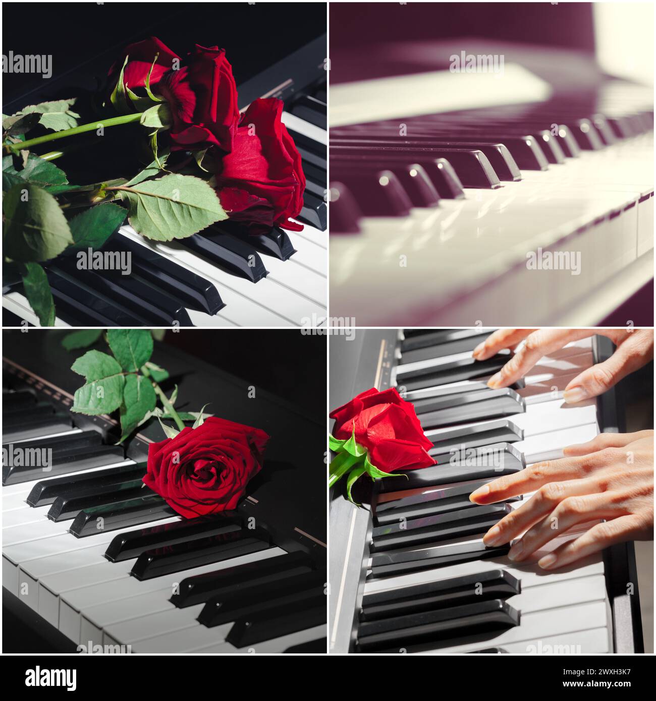 Piano keyboard close up. collage Stock Photo - Alamy
