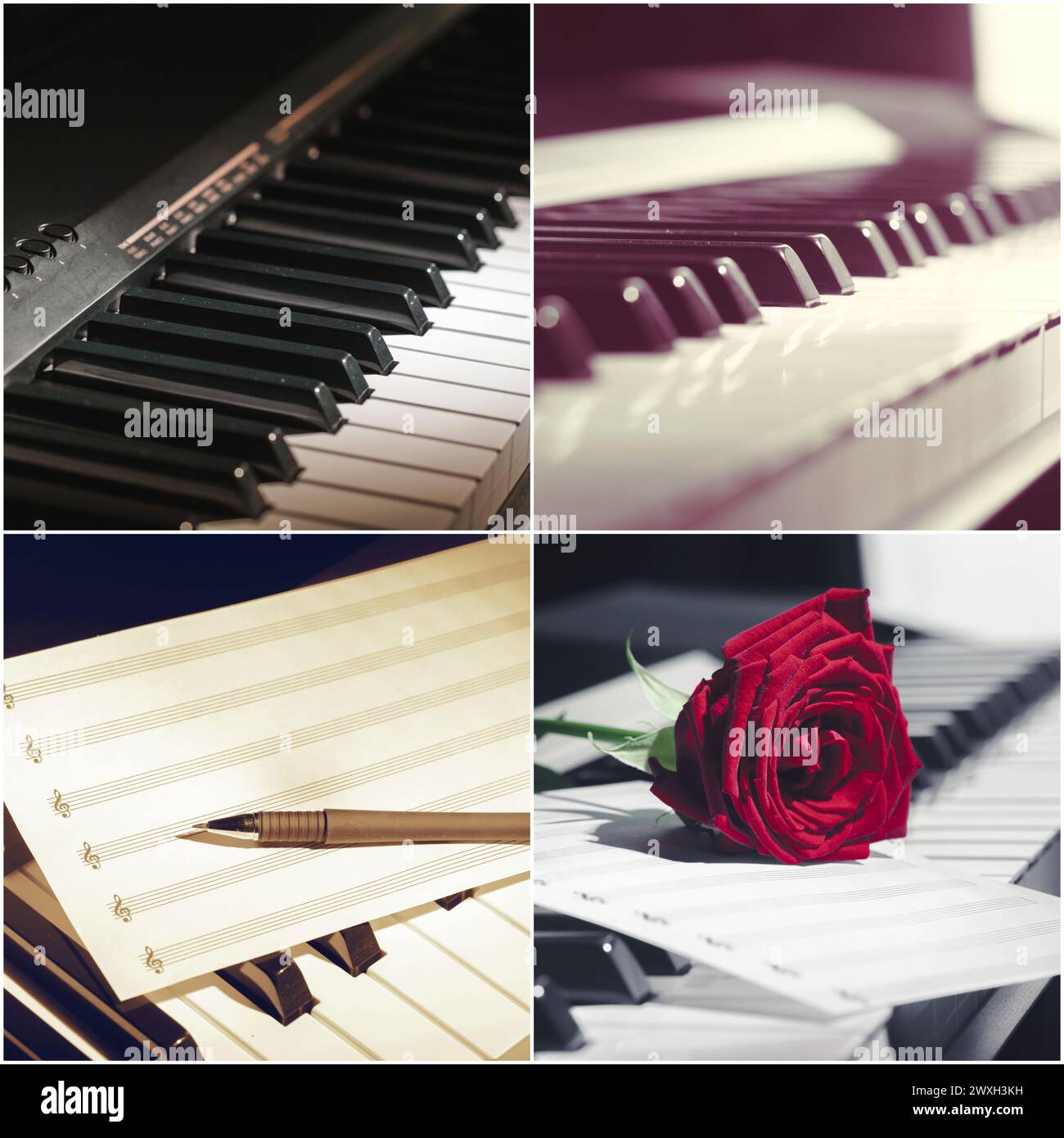 Piano hands close Cut Out Stock Images & Pictures - Alamy