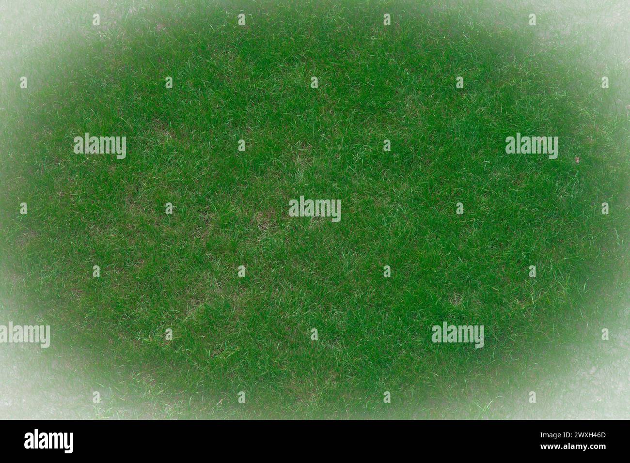 Green grass lawn verdant surface background texture natural nature ...