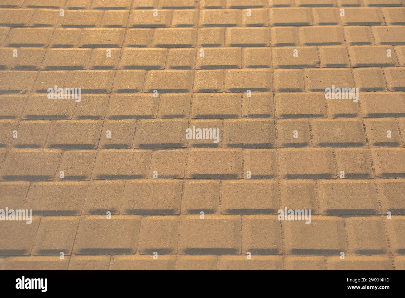 Stone yellow mosaic city street floor tile in sunny sunset light ...