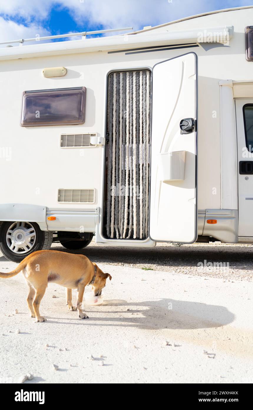 Dog friendly motorhome hi-res stock photography and images - Alamy
