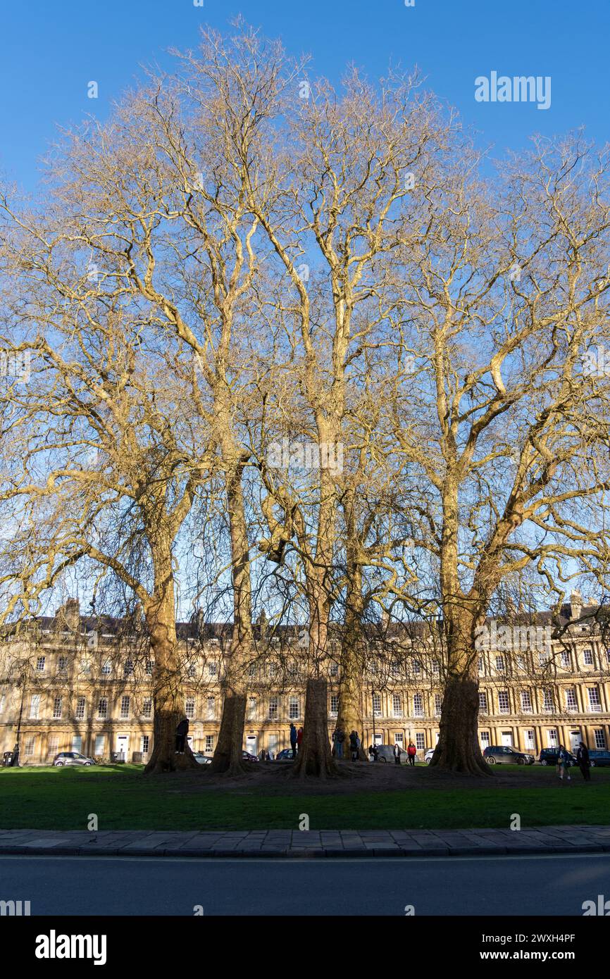 The Circus - Grade I Listed terrace houses in the city of Bath ...