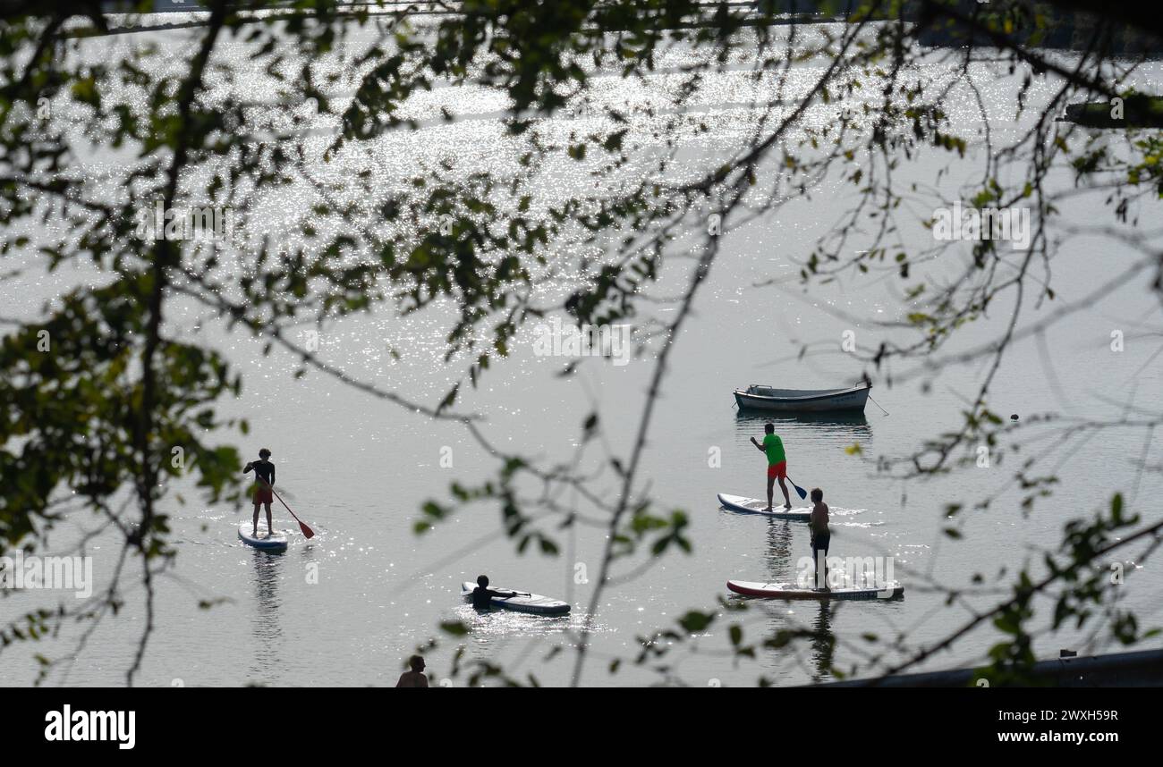 Group people paddle boarding in hi-res stock photography and images - Alamy