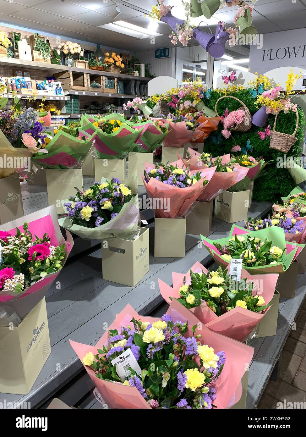 Maureen flowers hi-res stock photography and images - Alamy