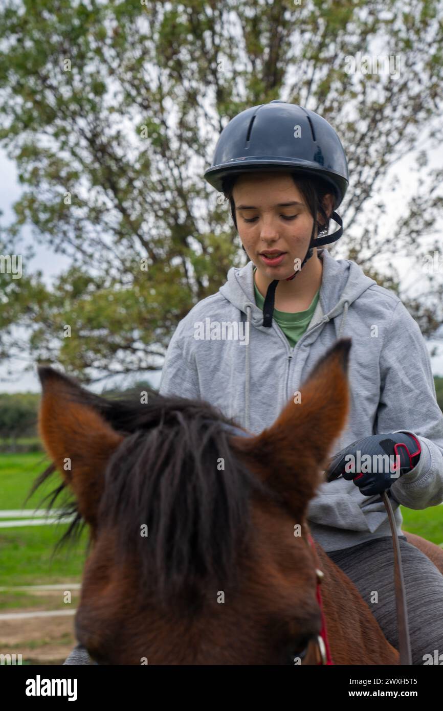 Equine healing process hi-res stock photography and images - Alamy