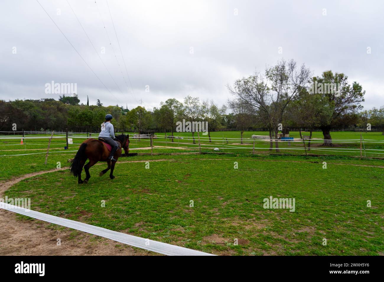 Young woman riding a horse in a riding center Stock Photo - Alamy