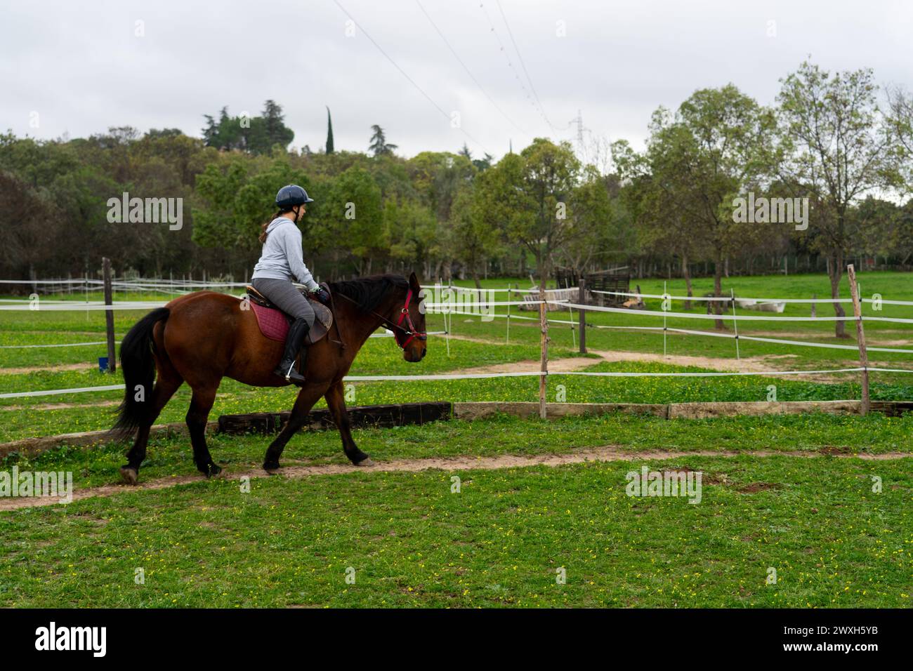 Equestrianism outdoors hi-res stock photography and images - Alamy