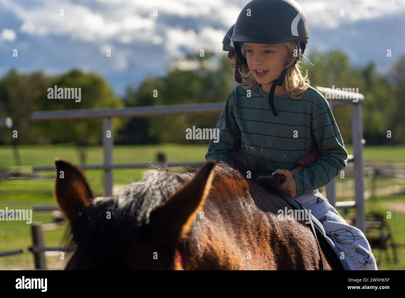 Equine guided therapy hi-res stock photography and images - Alamy