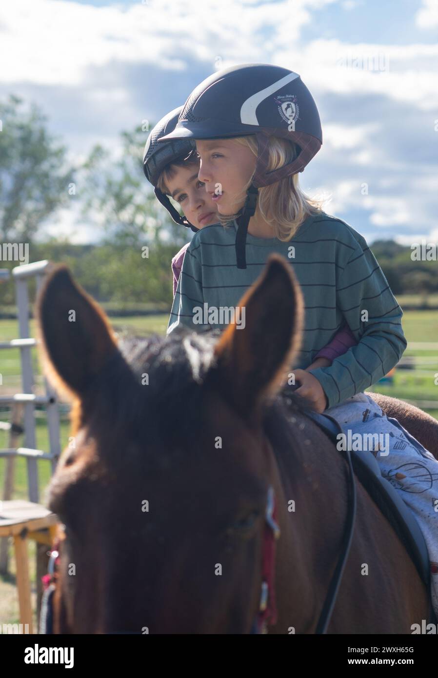 Horseback riding lesson for kids hi-res stock photography and images ...