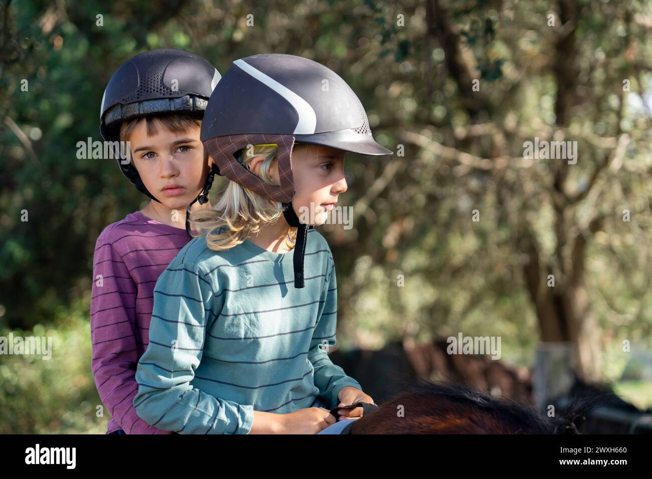 Shared horseback riding hi-res stock photography and images - Alamy