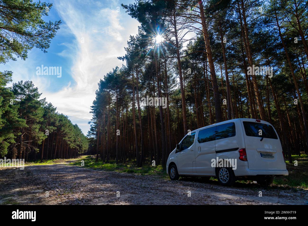 Van life in the woods hi-res stock photography and images - Alamy