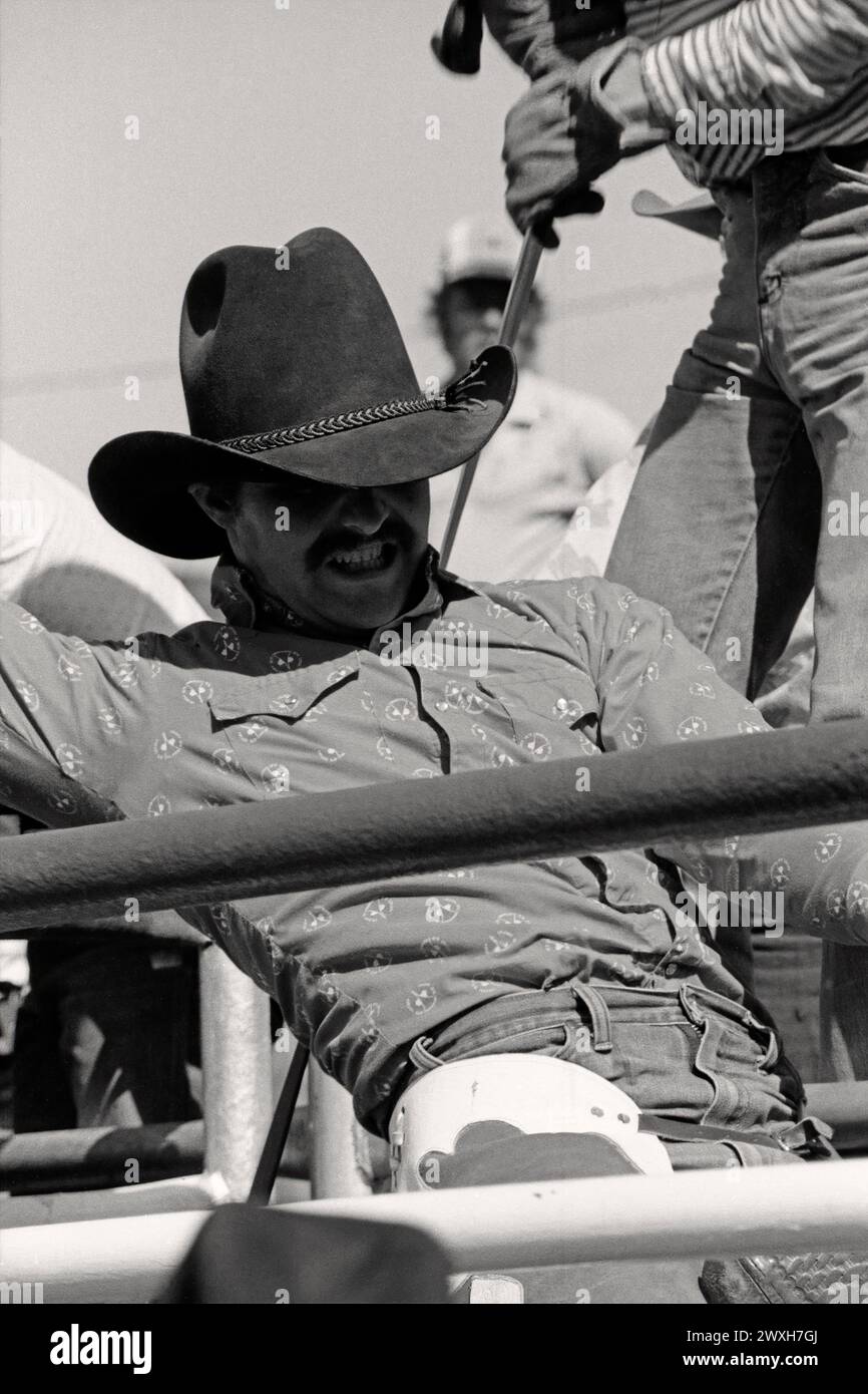 Bareback rodeo rider preparing to ride a bronc horse at the Calgary ...
