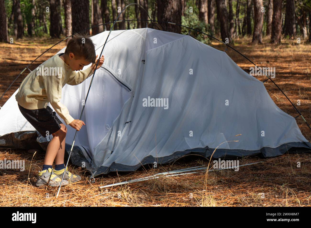 Adventurous Young Boy Setting Up Camp in the Wilderness Stock Photo - Alamy
