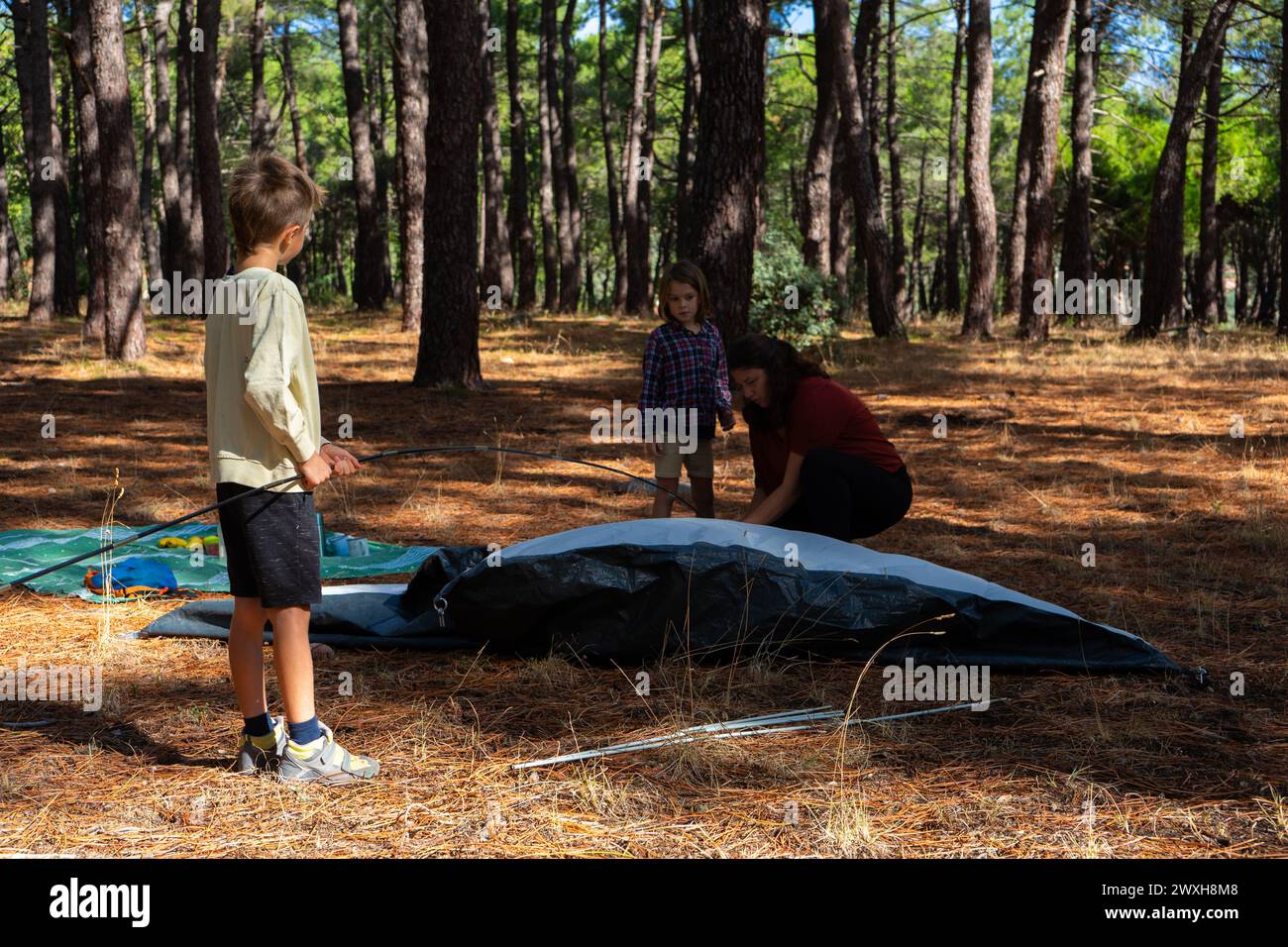 Family of a mother and two children pitching a tent in the forest Stock ...