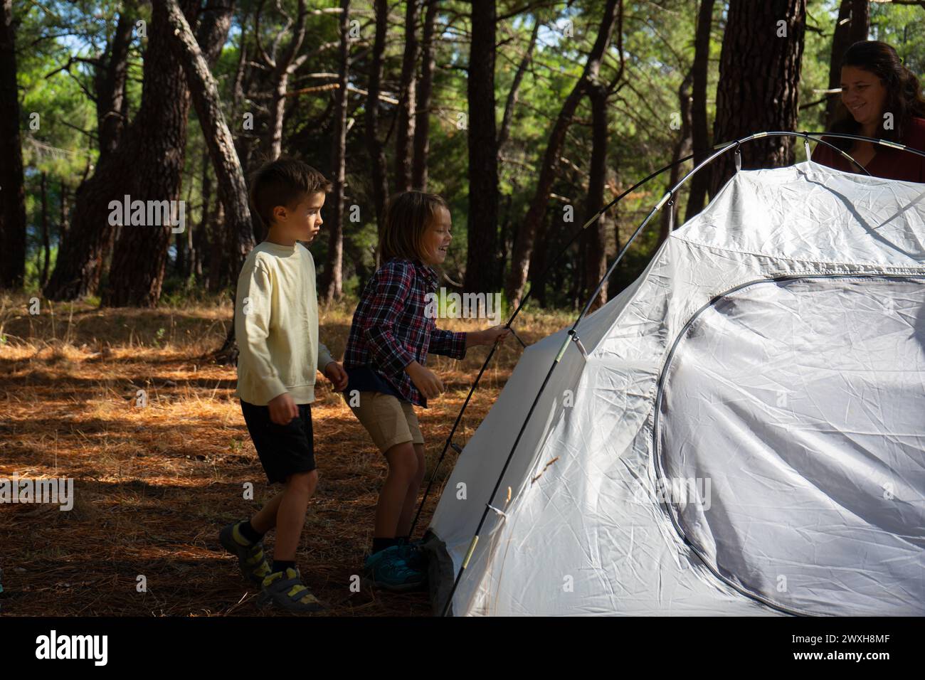 Two children pitching a tent together in the woods Stock Photo - Alamy