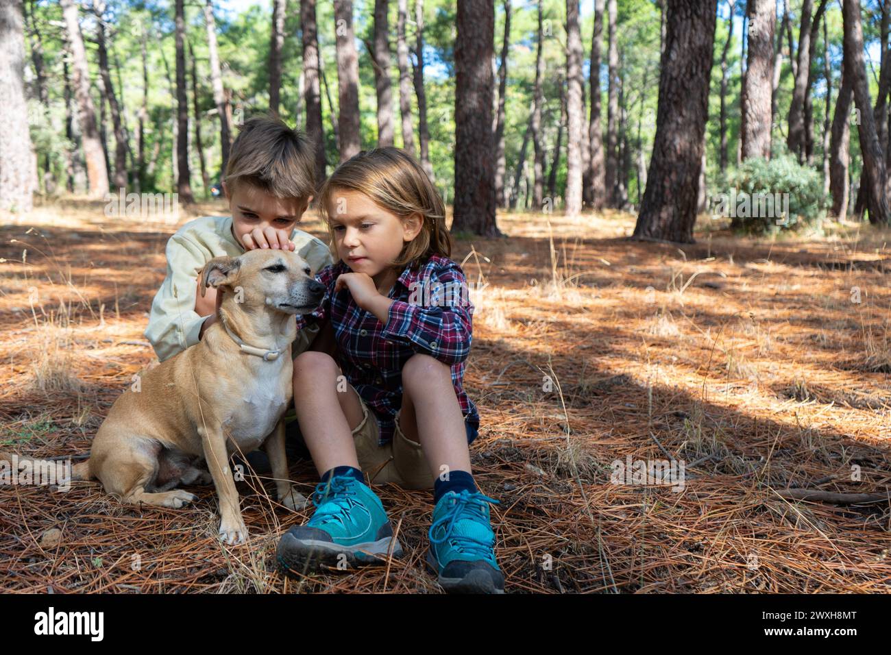 Exploring Nature's Wonders: Kids and Their Furry Companion Stock Photo ...