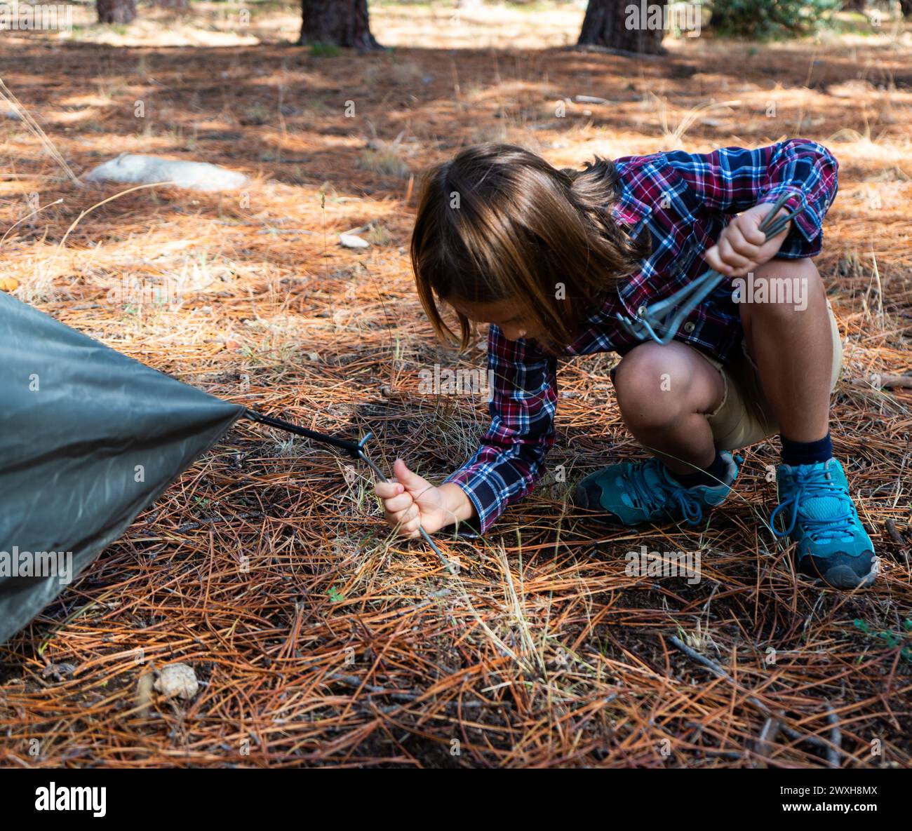 Boy putting a pickaxe from a tent in the woods Stock Photo - Alamy
