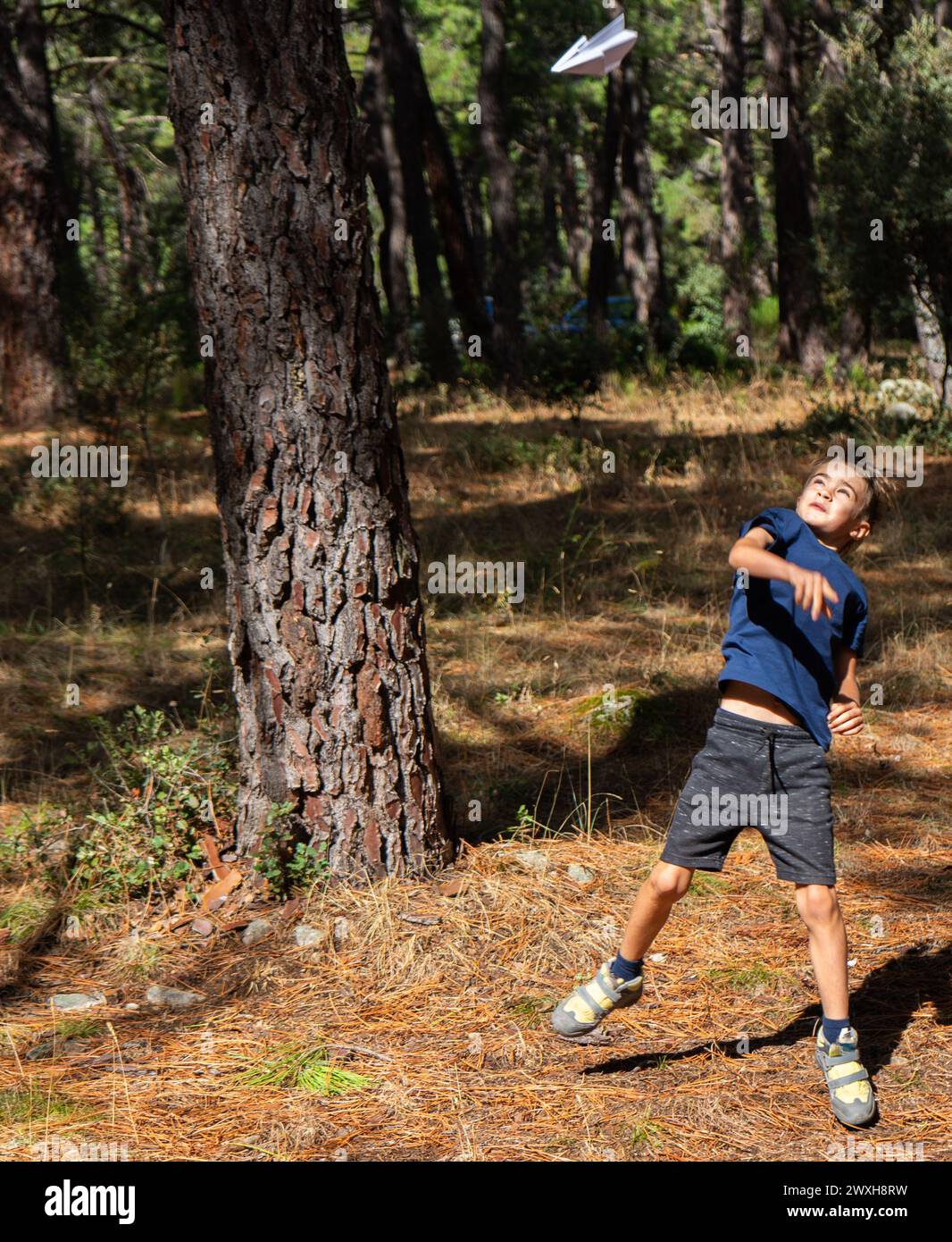 How to make a paper airplane hi-res stock photography and images - Alamy