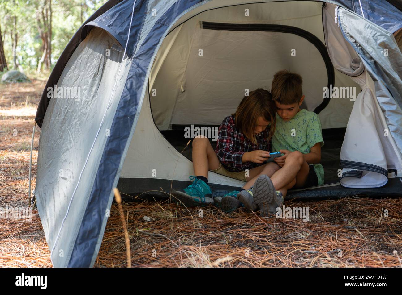 Two children playing with their smartphones inside a tent in the forest ...